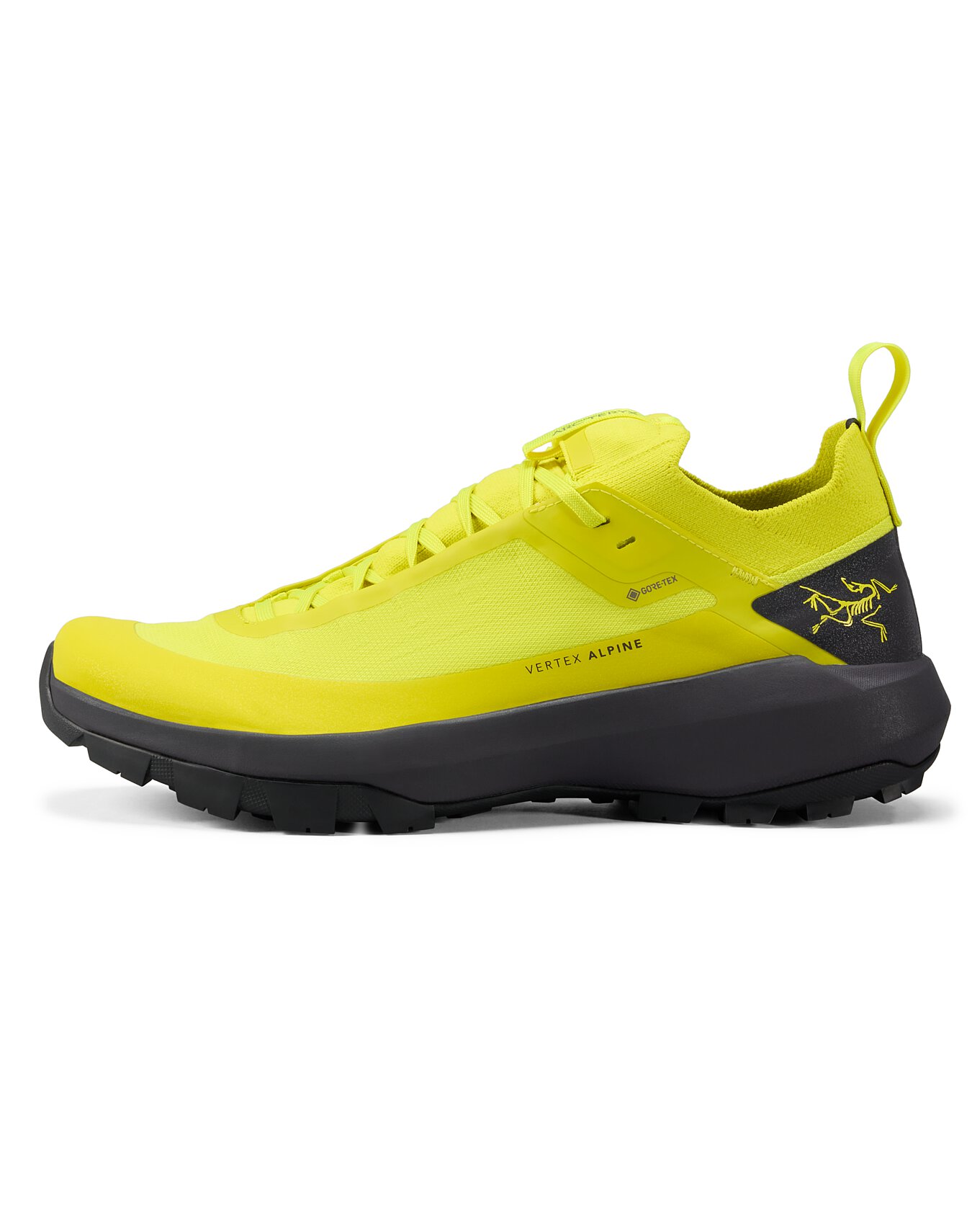 Arc’Teryx Vertex Alpine Gtx Shoe International Shipping